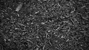 Optimizing Biochar Production for Enhanced Carbon Sequestration - Puppet